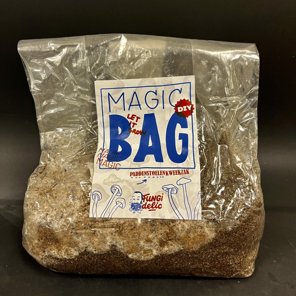 'Magic Bag' Grow kit - The Fungidelic Mushroom Company